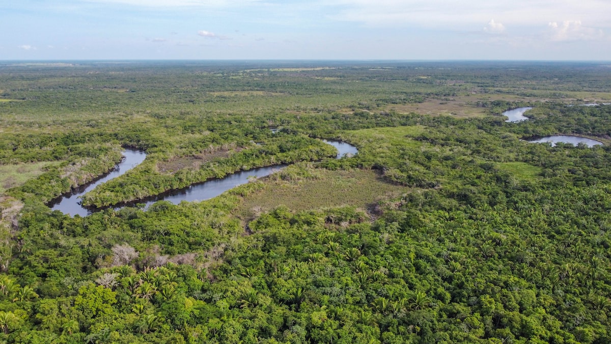 Comment vendre un terrain en zone inondable au meilleur prix